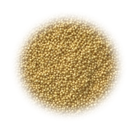 Gierst millet - Graan&Zo